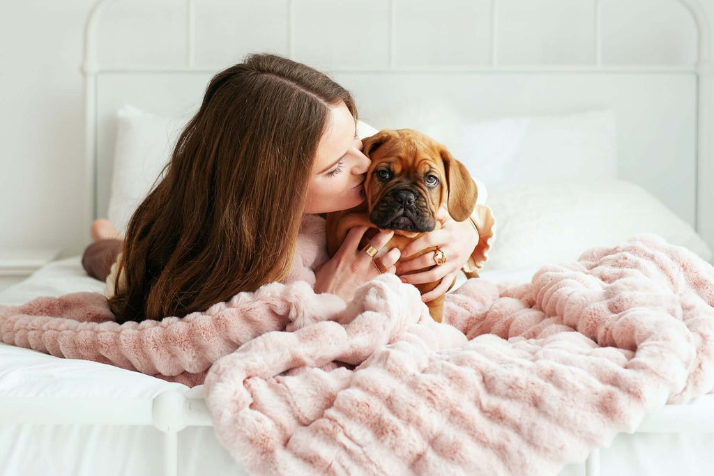 Pet Anxiety Solutions: Calming Blankets | Minky Couture