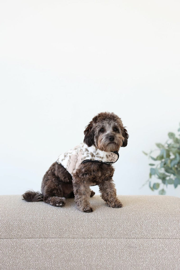 Pet Vest - Sandra/Light Gray | Minky Couture
