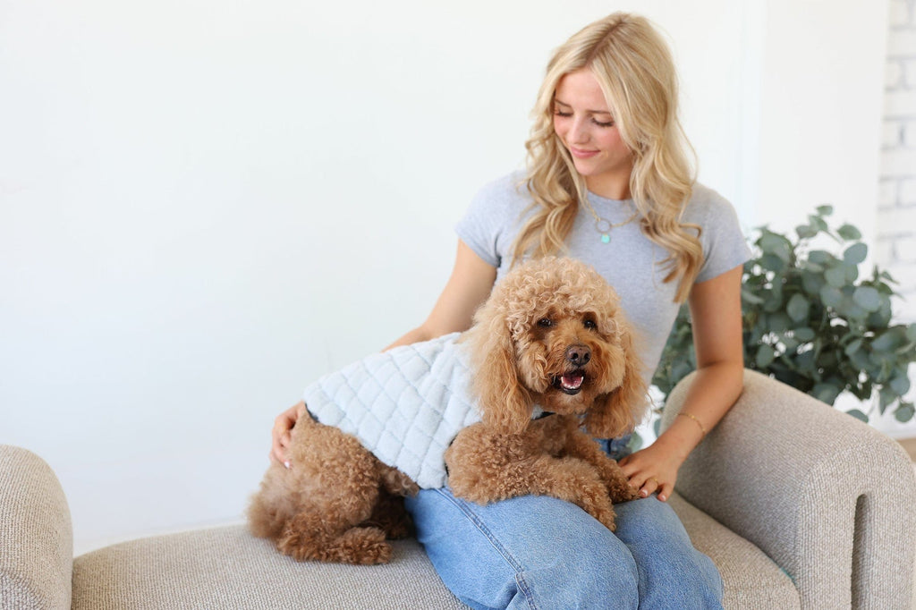 Pet Vest - Sandra/Light Gray | Minky Couture